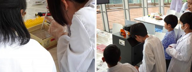 How to become a DNA Master - Popular Japanese school project