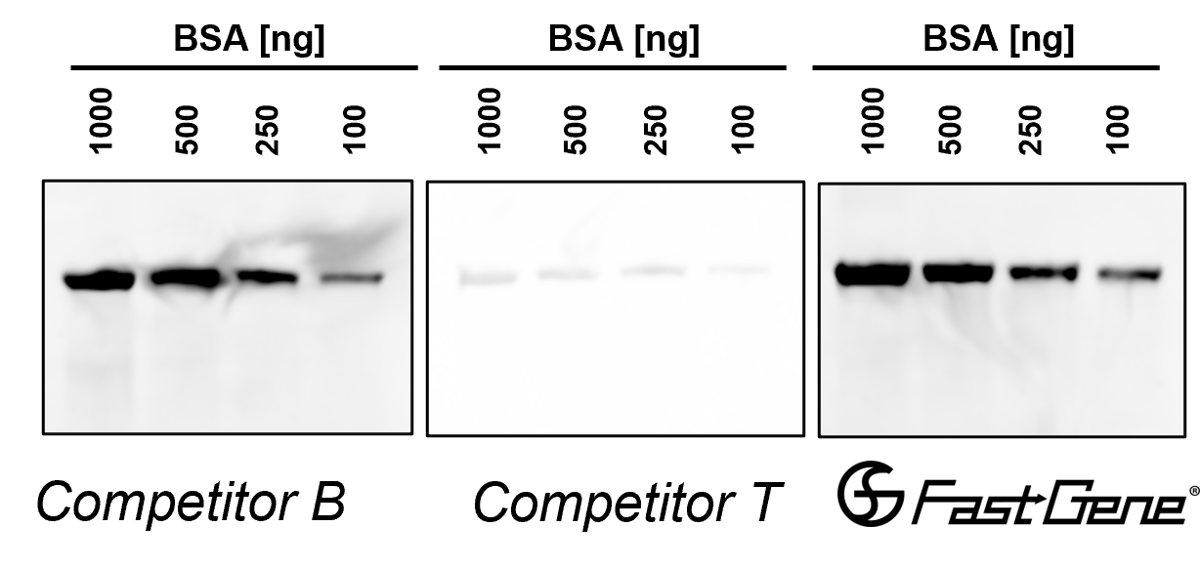 FastGene Western ECL Kit − Competitor Analysis